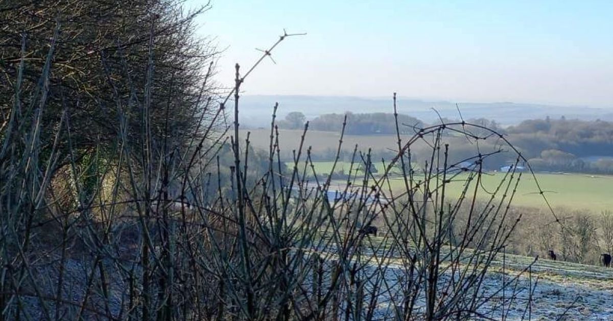 West Meon Circular - Brisk Pace - Ramblers